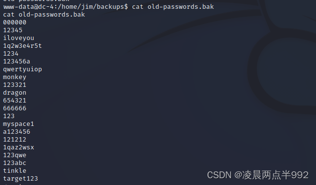 DC-4靶机渗透测试_dc4靶机-CSDN博客
