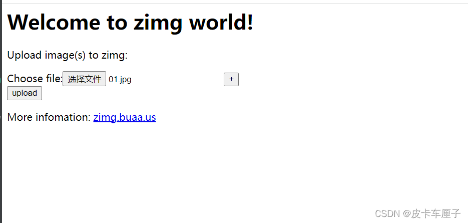 docker 安装Zimg图片服务器_图片服务器 zimg 端口-CSDN博客