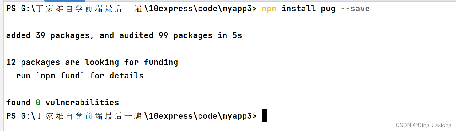 Express 10 指南 - 在 Express 中使用模板引擎_express 模板引擎-CSDN博客