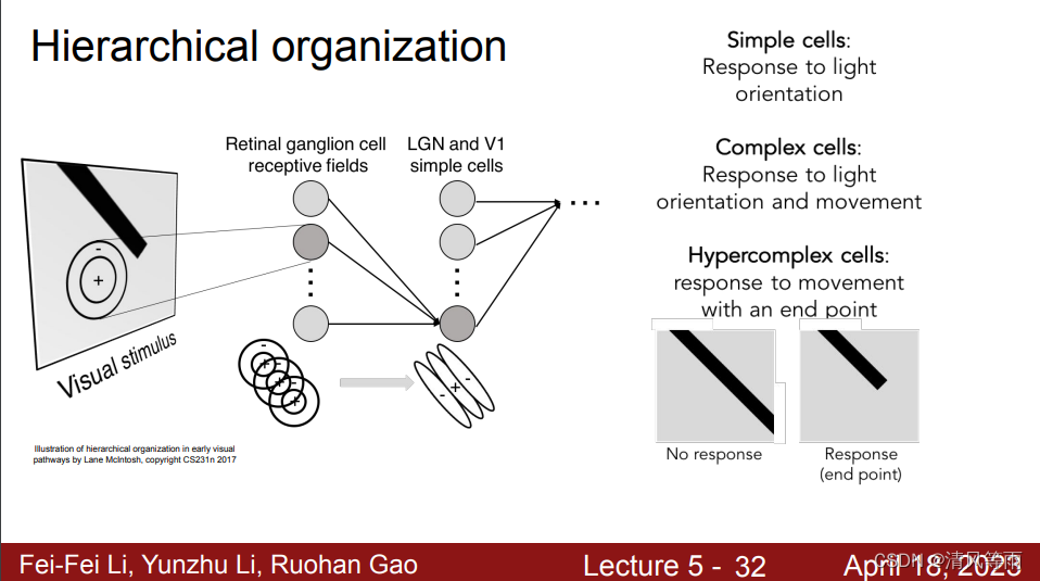 cs231n 2023春季课程理解——lecture_5-CSDN博客
