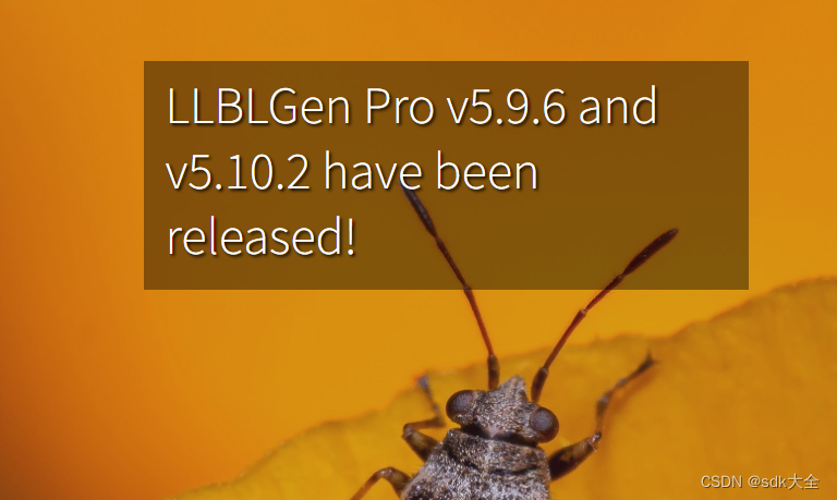 LLBLGen Pro 5.10 Crack-CSDN博客