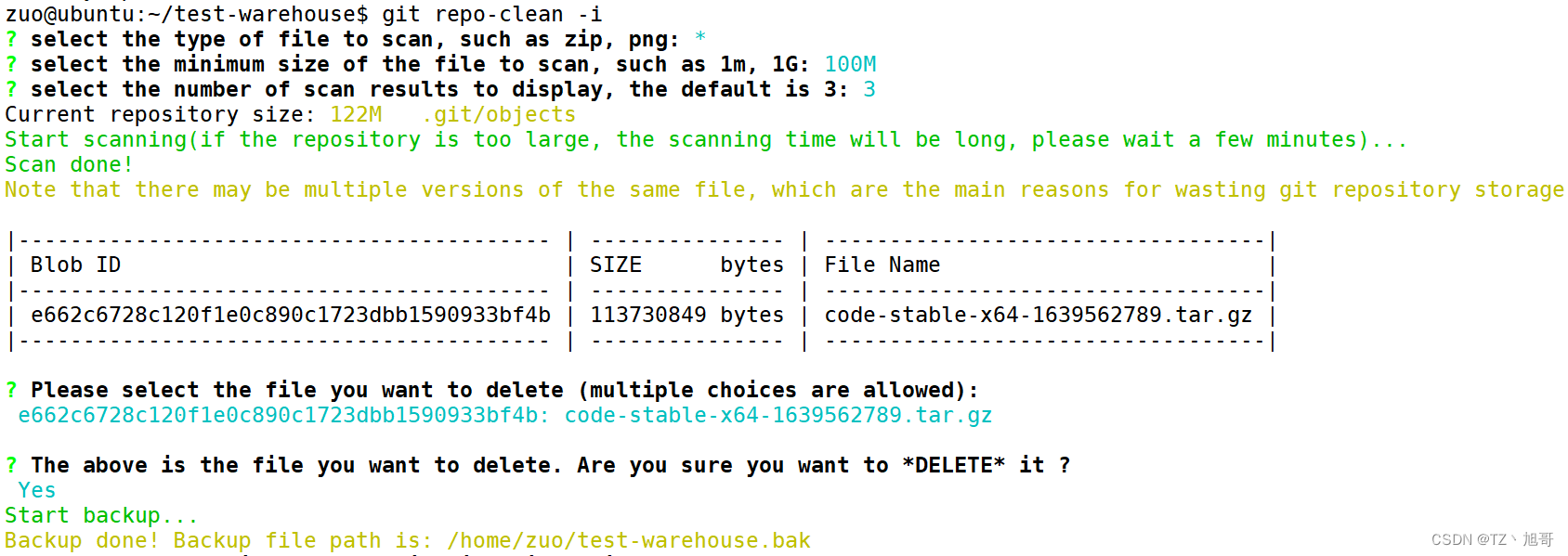 git报错：“remote: Please remove the file from history and try again.”-CSDN博客