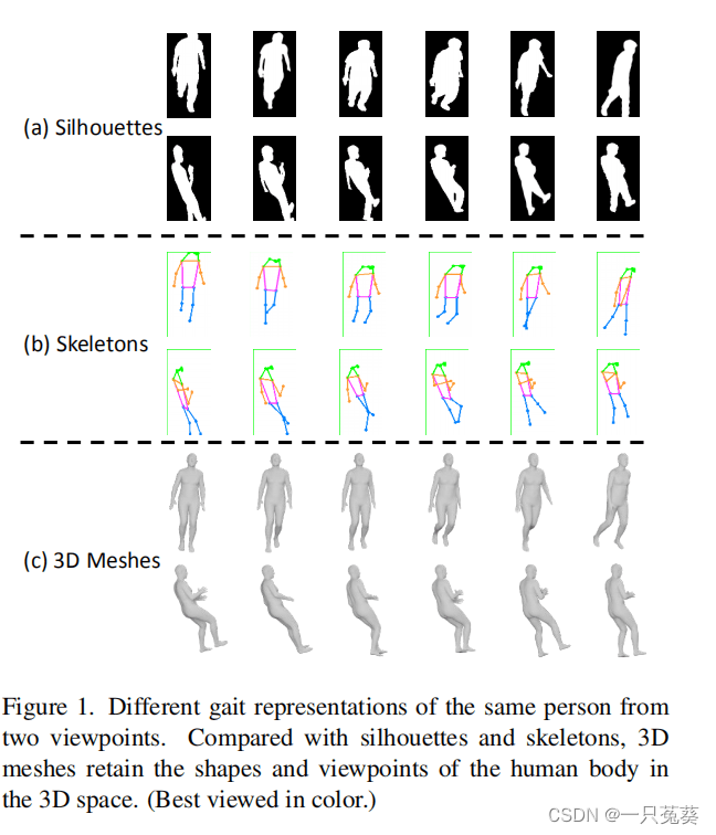 【步态识别】SMPLGait 算法学习《Gait Recognition in the Wild with Dense 3D Representations and A Benchmark ...