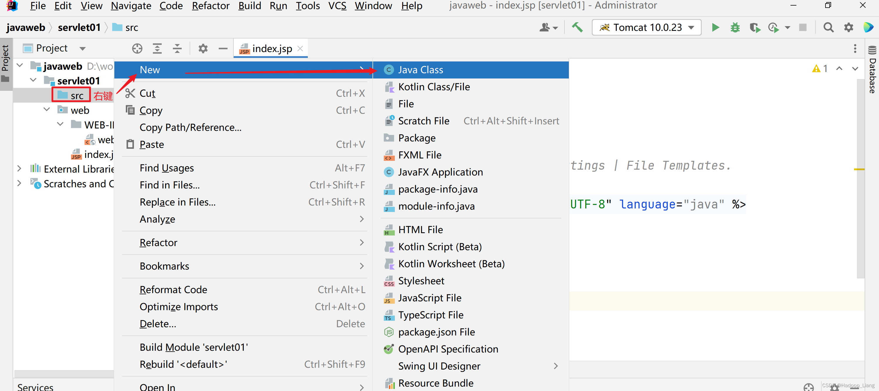 IDEA2022 Java Web Servlet 