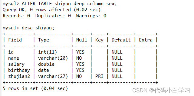 代码小白，sql学习及总结_代码长度扩长为10位sql-CSDN博客