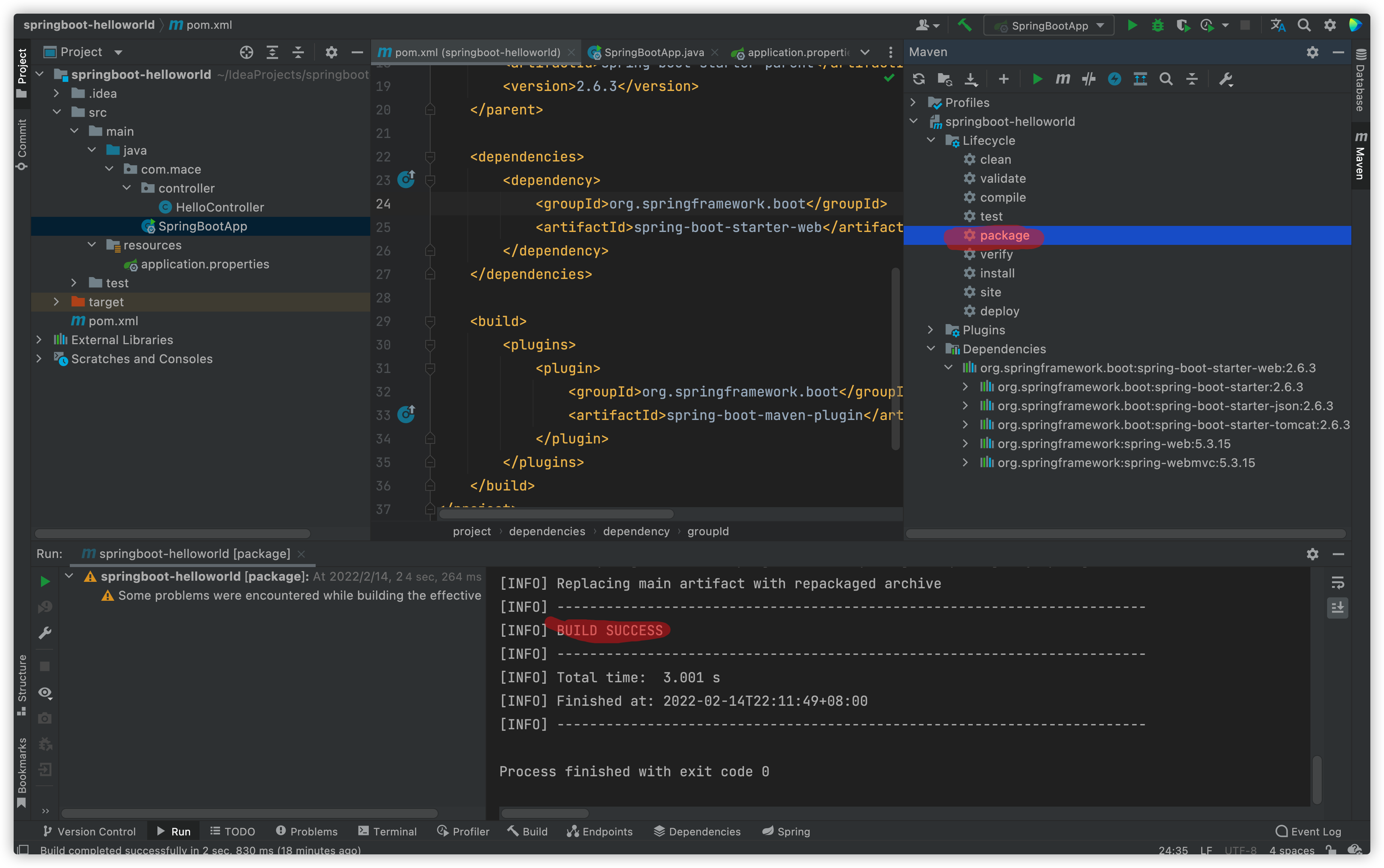 Spring Boot 2.6.3 Getting Started_springboot2.6.3版本配置那个那个版本的spring-web-CSDN博客