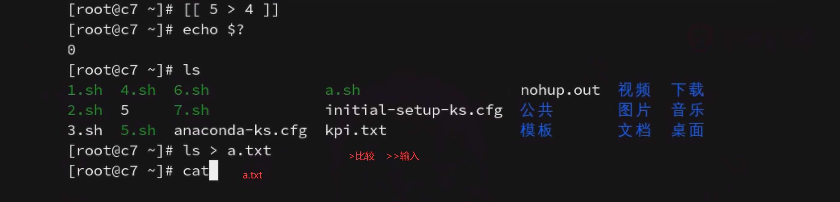 【linux】shell 特殊符号总结 数组shell 代特殊字符的字符串数组 Csdn博客