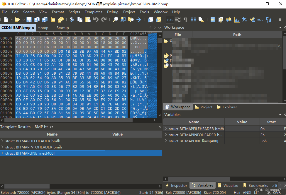 解析BMP格式图片_010editor中显示图片结构-CSDN博客