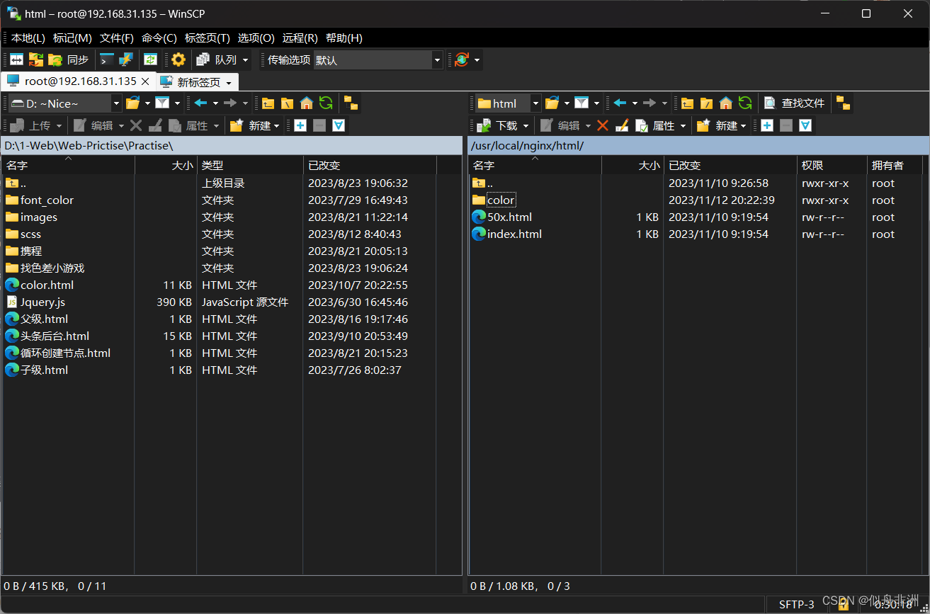 Nginx上传前端项目_nginx 上传按钮-CSDN博客