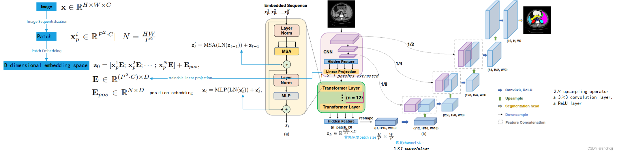 TransUNet_tqdm( ncols=70)-CSDN博客