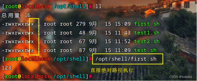 shell编程规范与变量_linux shell echo int类型变量-CSDN博客