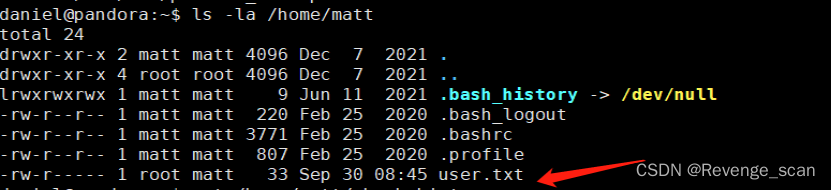 HTB-Pandora_pandora fms-CSDN博客
