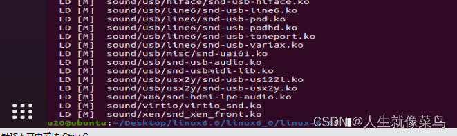 《Linux6.0内核 --- 1 编译与测试》_linux6内核编译-CSDN博客