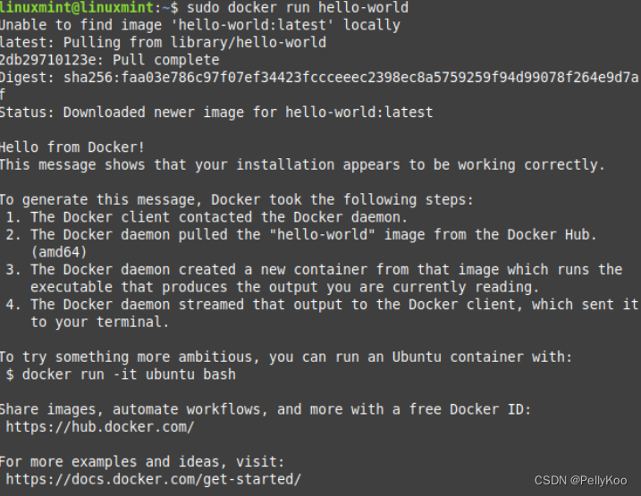 【Linux Mint 深度学习开发环境搭建】开发软件安装_netron安装-CSDN博客
