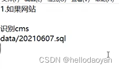 网络安全第n天 漏洞扫描第一部分DAY8集_serchsploit-CSDN博客