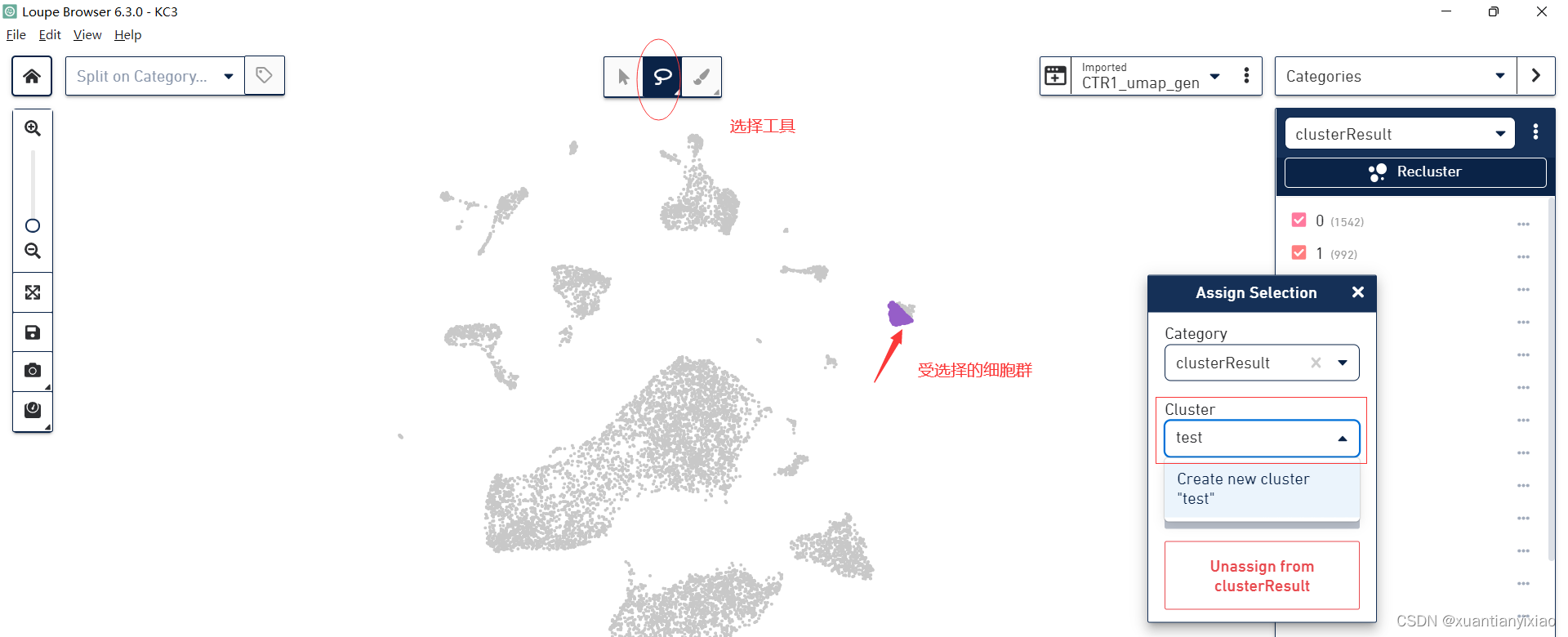 10x loupe browser 筛选样品细胞群-CSDN博客