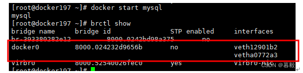Docker基础24--Docker网络配置_修改docker0默认ip-CSDN博客