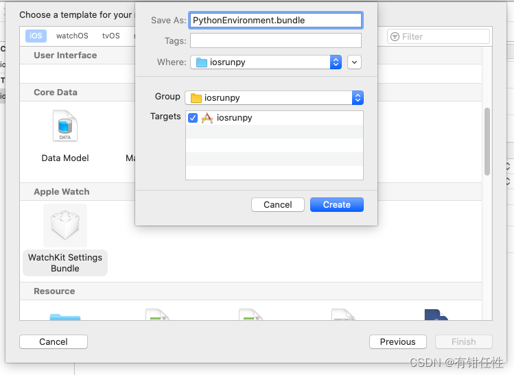 【xcode】ios项目中运行python_ios 调用.py文件-CSDN博客