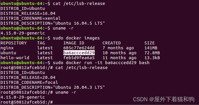 嵌入式——Linux 学习之路（二）：Docker_docker 嵌入式-CSDN博客
