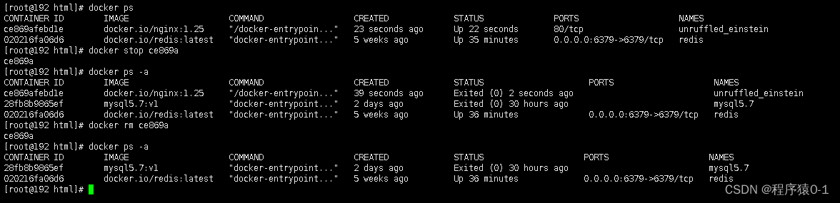 Docker安装Nginx_docker 安装nginx-CSDN博客
