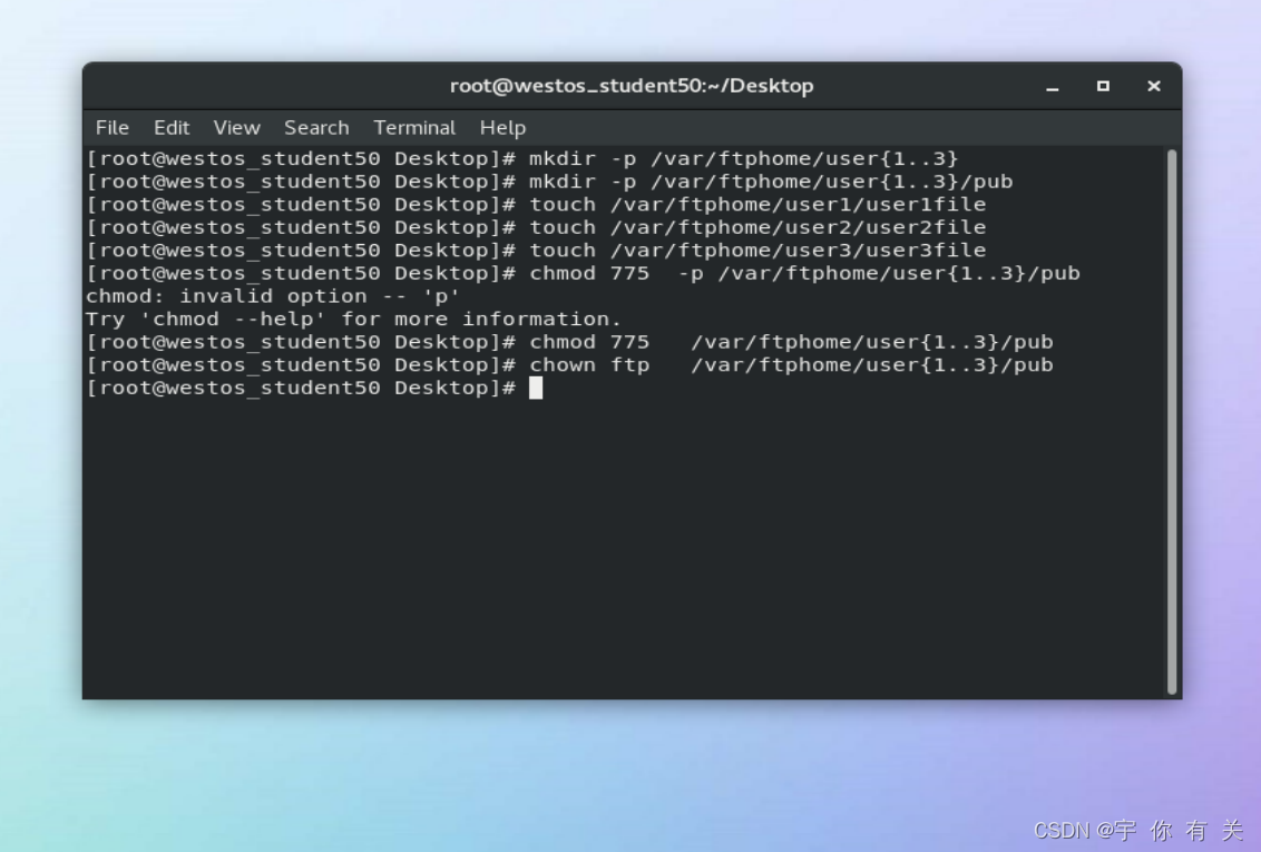 Vsftpd服务的部署及优化_vsftpd 占用cpu高-CSDN博客