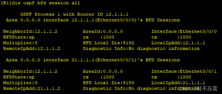 二十三、高级网络技术及应用——BFD解析_one-arm-echo-CSDN博客