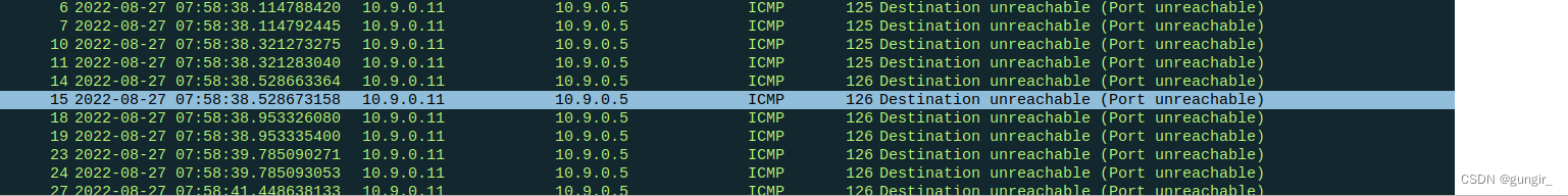 seedlab:Virtual Private Network Lab-CSDN博客