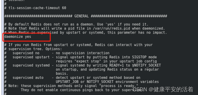 linux服务器安装 redis7.x_linux redis 7.x 安装-CSDN博客