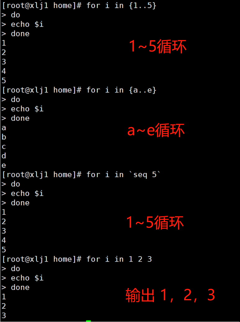 Shell编程之循环语句与函数 Sh文件函数循环 Csdn博客