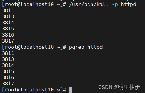 【Linux】进程管理命令（ps， lsof ，kill pkill killall，vmstat）_linux进程管理命令-CSDN博客