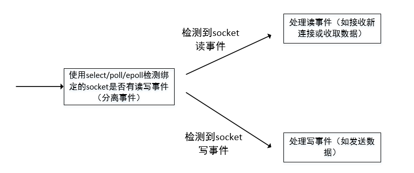 Linux高并发学习---epoll的reactor实现_epoll 单例-CSDN博客