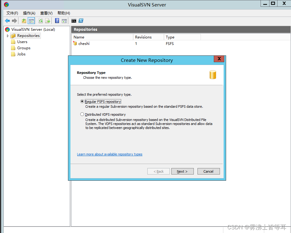 如何通过ip连接自己服务器上的svn版本库_svn怎么用ip地址访问-CSDN博客