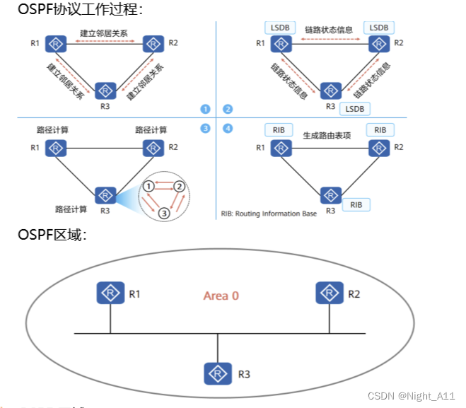 OSPF和RIP总结_rip和osrf-CSDN博客