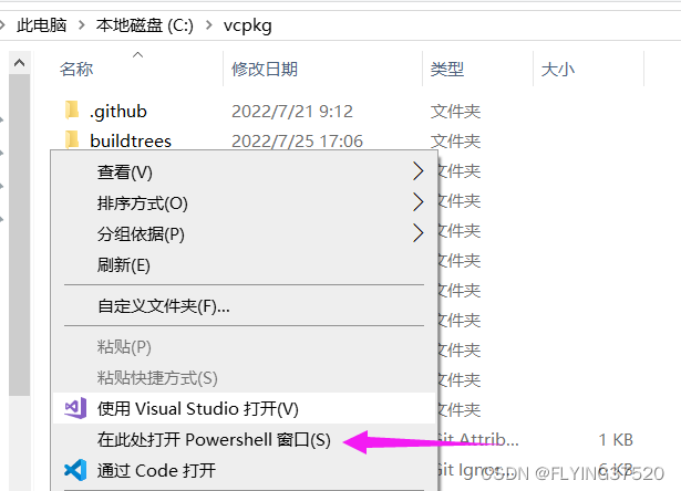 【手把手】C++包管理工具：vcpkg——与cmake在visual studio中的使用_visual studio vcpkg-CSDN博客