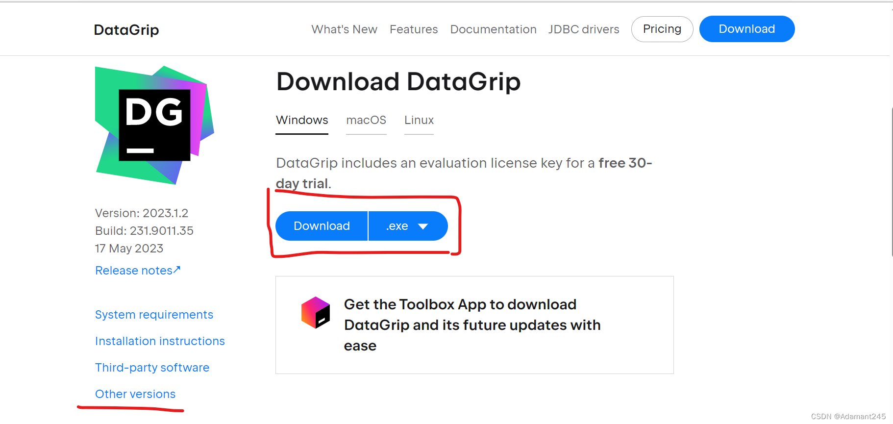 DataGrip下载和安装-CSDN博客