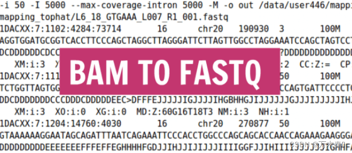 格式转换：BAM 转 FASTQ_bam转fastq-CSDN博客