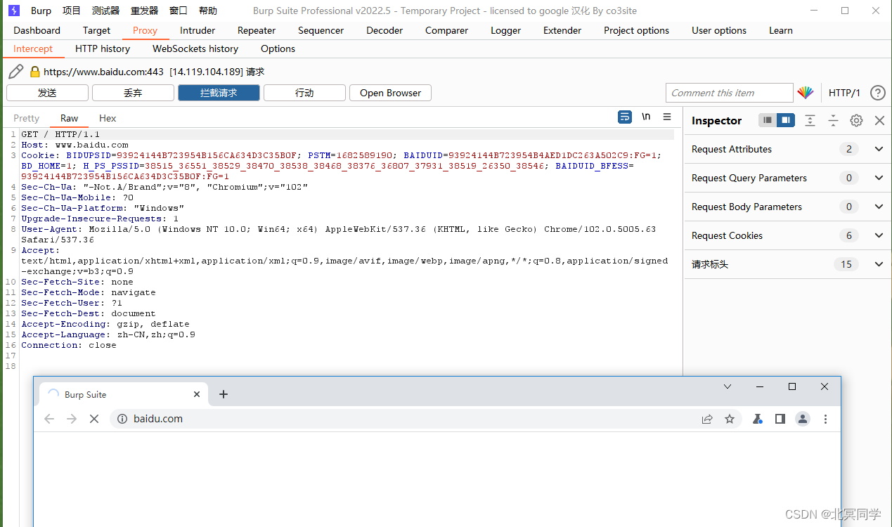 使用BurpSuit抓取不同源点的HTTP数据_burp 抓取其他协议-CSDN博客