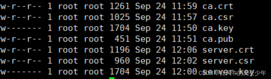 Nginx rewrite 测试 和SSL工作流程与nginx配置https方法以及源码安装nginx_nginx rewrite ssl-CSDN博客