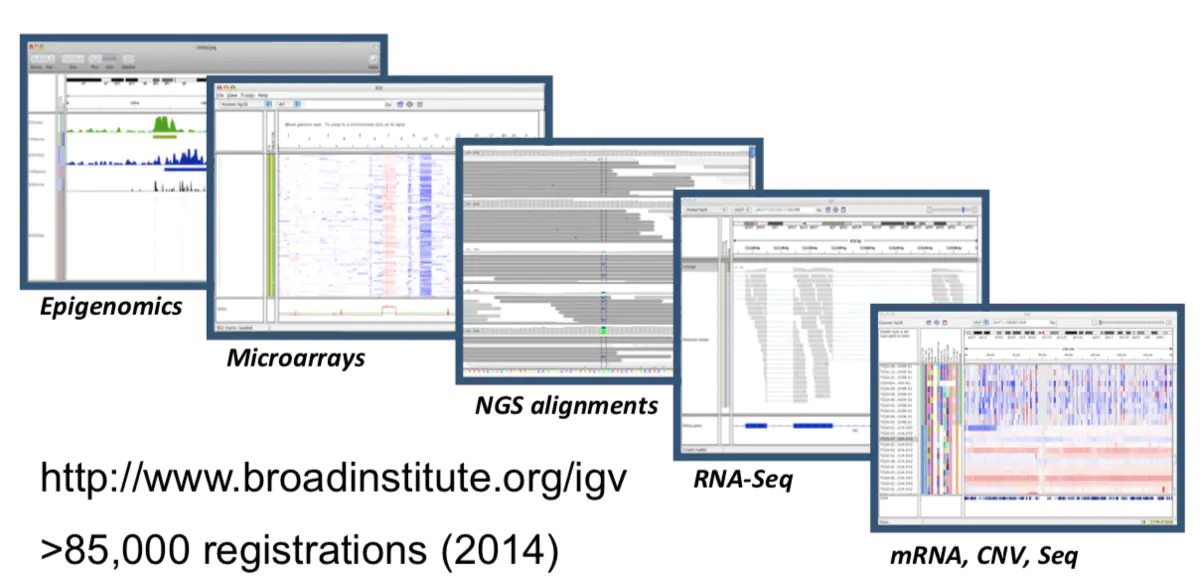IGV-Introduction_igv error painting datapanel-CSDN博客