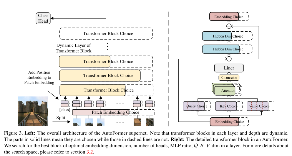 [Transformer]AutoFormer: Searching Transformers for Visual Recognition-CSDN博客