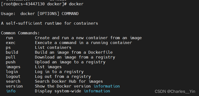 Docker学习笔记_给nginx镜像重新打标签-CSDN博客