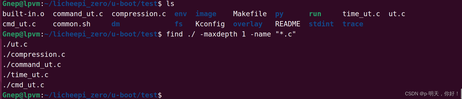 Linux命令find和grep详解_find grep 查找文件内容-CSDN博客