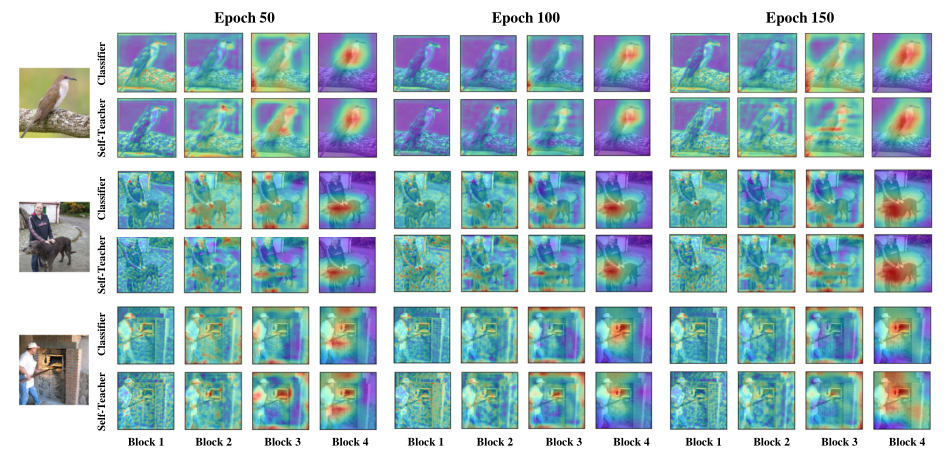 【论文笔记_自监督知识蒸馏】Refine Myself by Teaching Myself : Feature Refinement via Self-Knowledge ...