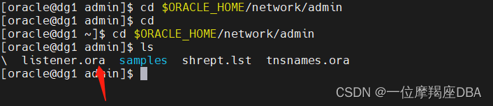 ORACLE-DG总结_oracle dg-CSDN博客