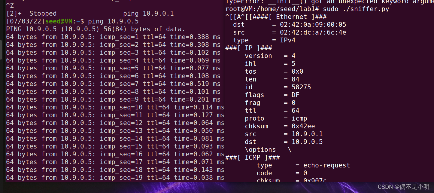 Lab1 Packet Sniffing and Spoofing Lab-CSDN博客