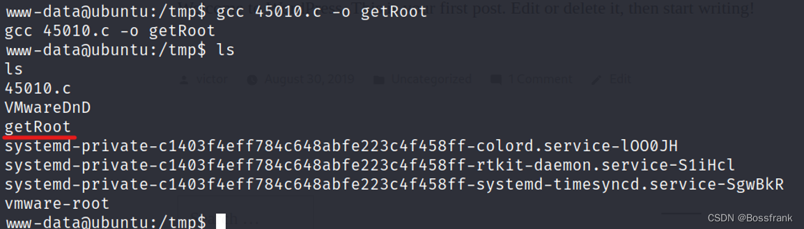 红队打靶：Prime1详细打靶思路之模糊测试+内核提权（vulnhub）_prime1靶机-CSDN博客