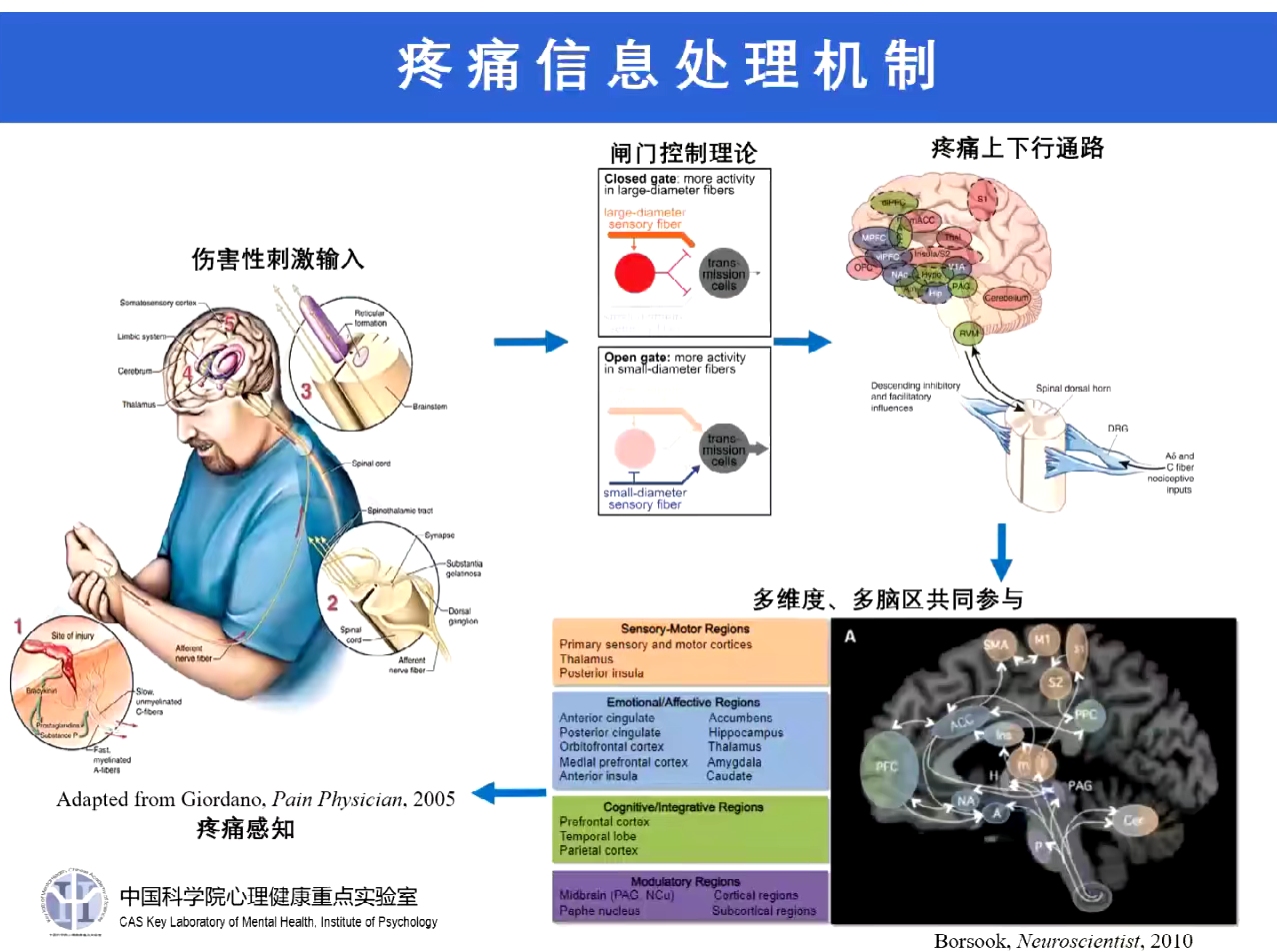脑电数据分析方法与应用实例简介-EEG Processing and Feature 1-CSDN博客