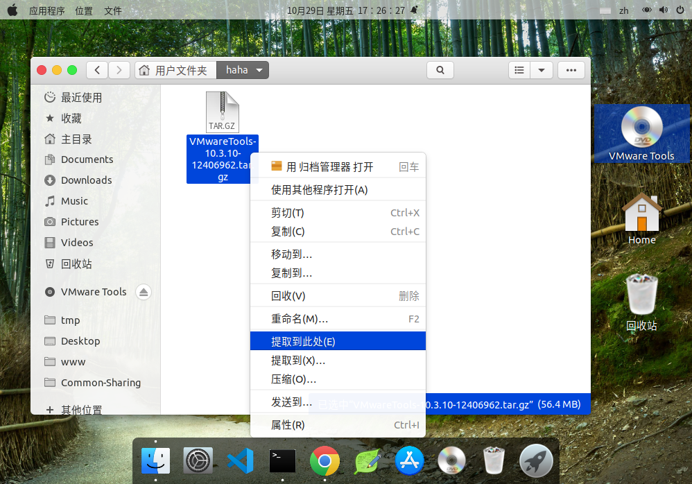 如何在VMware中的Ubuntu安装VMware-Tools_vm 安装ubuntu 后怎么安装vm-tools-CSDN博客