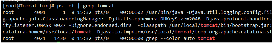 tomcat安装、使用及搭建nginx+tomcat服务器_tomcat安装、使用及搭建nginx+tomcat服务器 csdn-CSDN博客