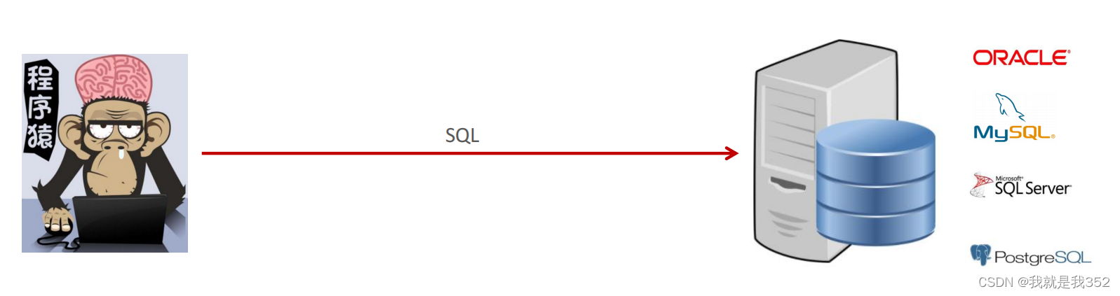 Mysql80 >ddldmldqldclmysql80动态ddl Csdn博客